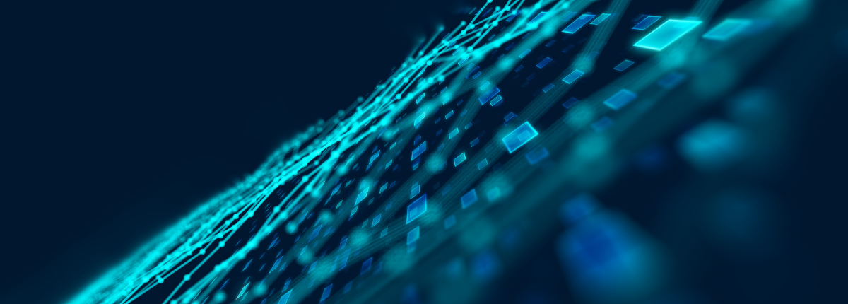 Qu’est-ce qu’une DSI